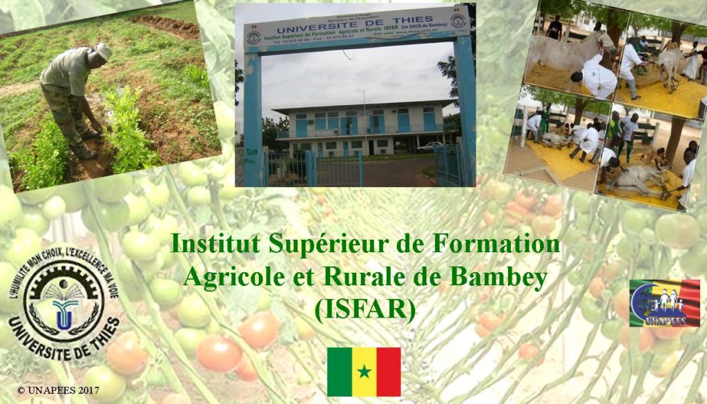 Bambey : Les élèves-ingénieurs de l'Isfar vont entamer une grève de la faim